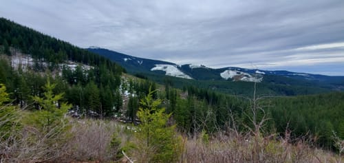 2023 Best Waterfall Trails in Yacolt Burn State Forest | AllTrails