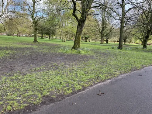 Best Hikes and Trails in Calderstones Park | AllTrails