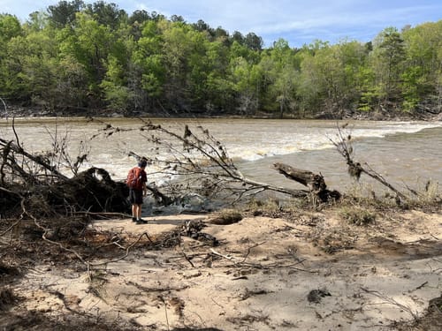 Best Hikes and Trails in Sprewell Bluff Park | AllTrails