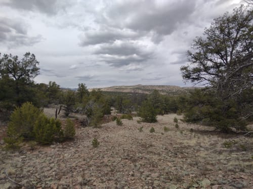 2023 Best Views Trails in Datil | AllTrails