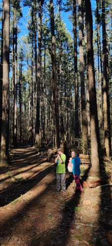 Best Hikes and Trails in Sand Ridge State Forest | AllTrails