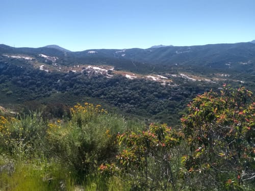 Best Hikes and Trails in Sycuan Indian Reservation | AllTrails