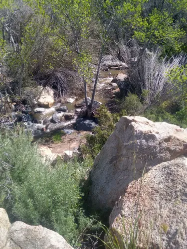 Best Hikes and Trails in Sycuan Indian Reservation | AllTrails