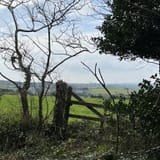 Tehidy Wood Circular, Cornwall, England - 87 Reviews, Map | AllTrails