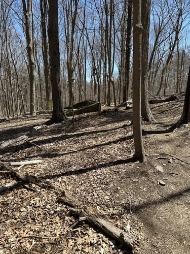 Best Hikes and Trails in Dickerson Mine Preserve | AllTrails