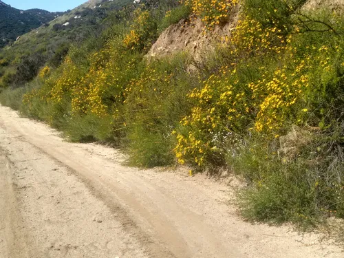 Best Hikes and Trails in Sycuan Indian Reservation | AllTrails