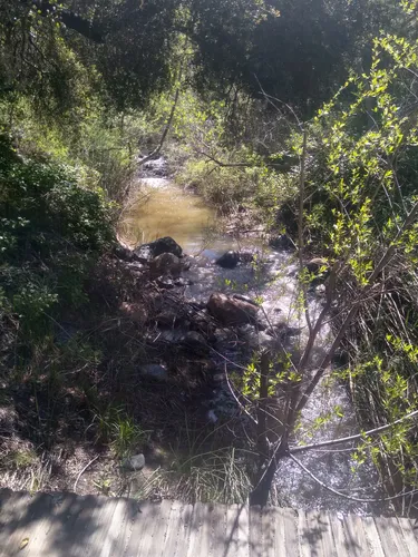 Best Hikes and Trails in Sycuan Indian Reservation | AllTrails