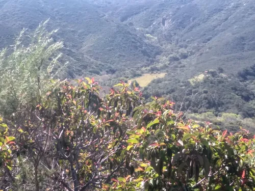 Best Hikes and Trails in Sycuan Indian Reservation | AllTrails