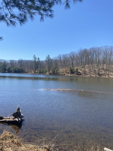 2023 Best Lake Trails in Chenango Forks | AllTrails
