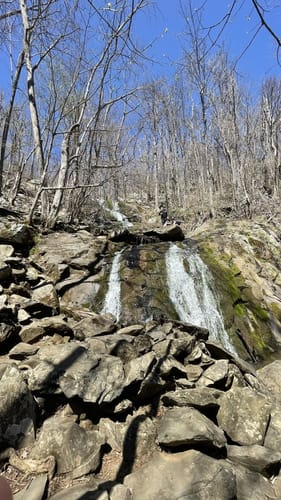 Best Hikes and Trails in Shamokin Springs Nature Preserve | AllTrails