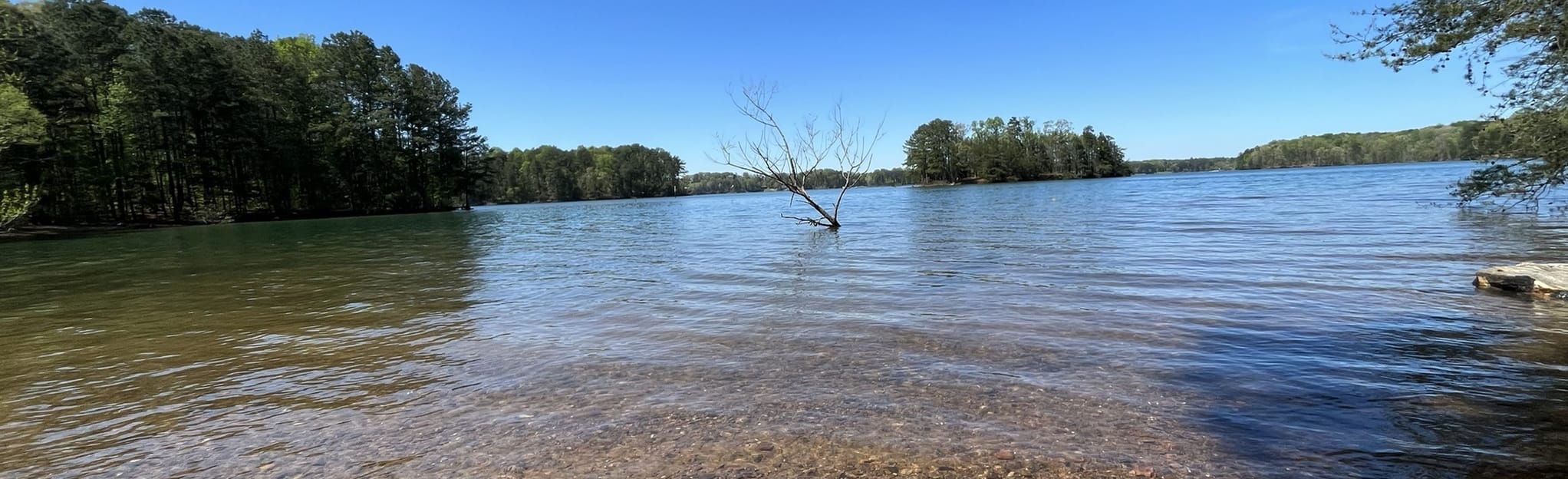Little Ridge Trail, Georgia - 684 Reviews, Map | AllTrails