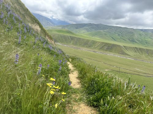 2023 Best Short Trails in Wind Wolves Preserve | AllTrails