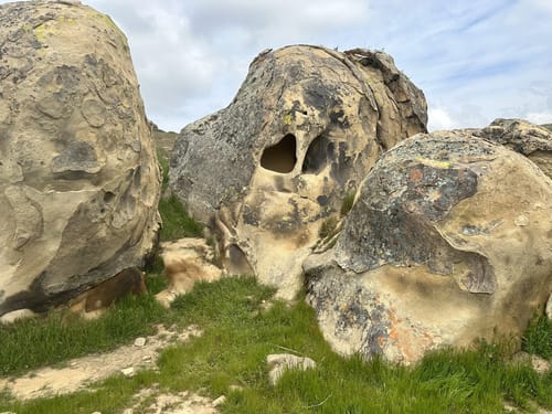 2023 Best Short Trails in Wind Wolves Preserve | AllTrails