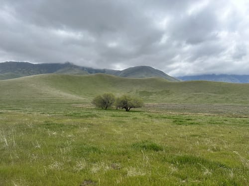 2023 Best Short Trails in Wind Wolves Preserve | AllTrails