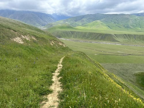 2023 Best Short Trails in Wind Wolves Preserve | AllTrails