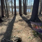 David Rancourt River Preserve Loop, Maine - 64 Reviews, Map | AllTrails