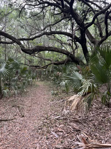 Best Hikes and Trails in Potts Preserve | AllTrails