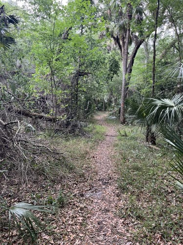 Best Hikes and Trails in Potts Preserve | AllTrails