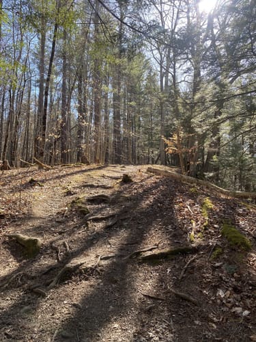 2023 Best trails in Monkey Run Natural Area | AllTrails