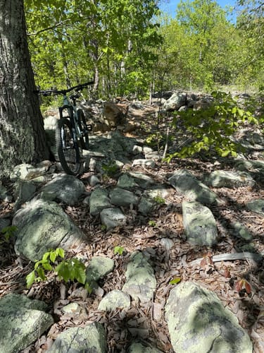 Best Hikes and Trails in Coldwater Mountain State Forest | AllTrails