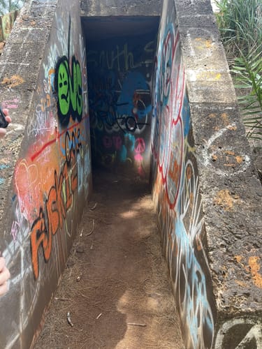 2023 Best trails in Pupukea Paumalu Forest Reserve | AllTrails