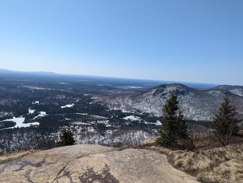 Debar Mountain Wild Forest: Die besten Routen in 2023 | AllTrails