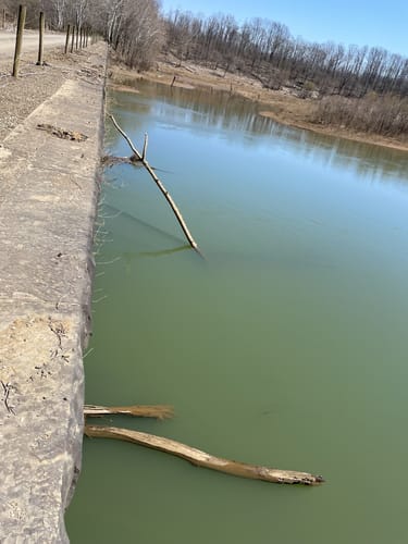 Best Hikes and Trails in Conemaugh Lake Recreation Area | AllTrails