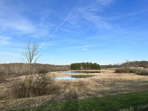2023 Best Easy Trails in Bath Nature Preserve | AllTrails
