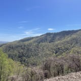 Point Lookout Trail, North Carolina - 626 Reviews, Map | AllTrails