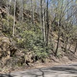 Point Lookout Trail, North Carolina - 548 Reviews, Map | AllTrails