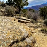 Cinder Cone Trail, Utah - 488 Reviews, Map | AllTrails