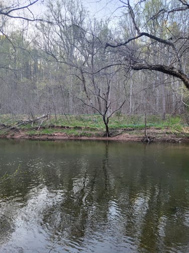 2023 Best trails in Hemlock Overlook Regional Park | AllTrails