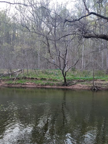 2023 Best trails in Hemlock Overlook Regional Park | AllTrails