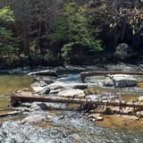 Cartecay River North Loop Trail, Georgia - 358 Reviews, Map | AllTrails