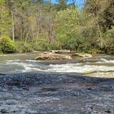 Cartecay River North Loop Trail, Georgia - 358 Reviews, Map | AllTrails