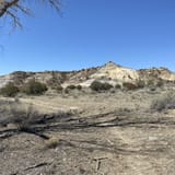 Jackson Lake Trail, New Mexico - 73 Reviews, Map | AllTrails