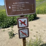 Lower Aliso Canyon Trail, California - 196 Reviews, Map | AllTrails