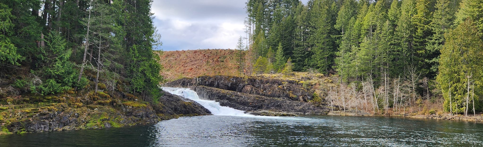 Elk Falls via Millenium Trail: 516 foto's - British Columbia, Canada ...