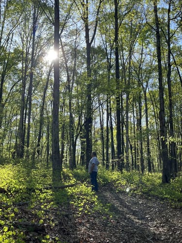 Best Hikes and Trails in McIntosh Reserve Park | AllTrails