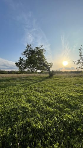 Best Hikes and Trails in Berry Springs County Park | AllTrails