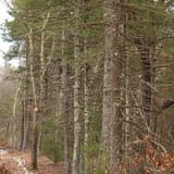 Southern New England Trunkline Trail, Massachusetts - 440 Reviews, Map ...