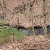 Southern New England Trunkline Trail, Massachusetts - 440 Reviews, Map ...