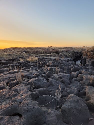 Best Hikes and Trails in Thousand Springs State Park | AllTrails