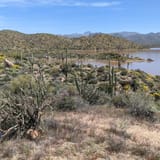 Bartlett Reservoir Trail , Arizona - 328 Reviews, Map | AllTrails