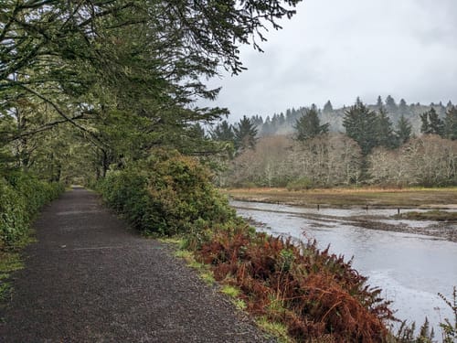Best Hikes and Trails in Sitka Sedge State Natural Area | AllTrails