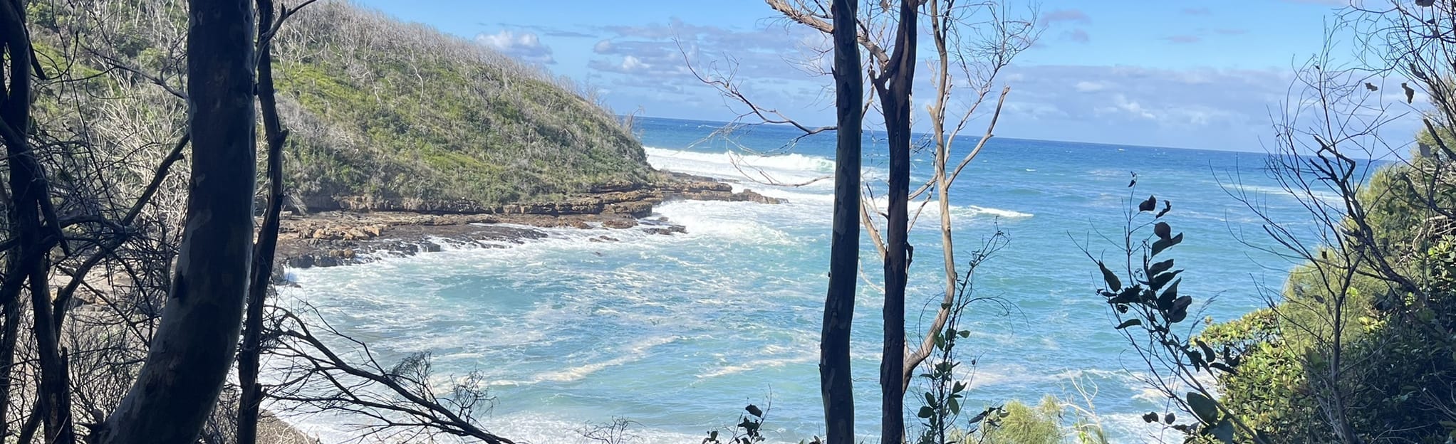 Snake Bay from Pebbly Beach [GESLOTEN]: 102 foto's - Nieuw-Zuid-Wales ...