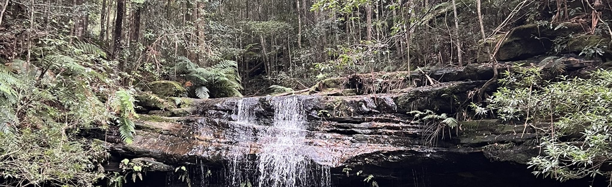 North Hazelbrook Circuit, New South Wales, Australia - 13 Reviews, Map ...