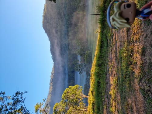 Best Hikes and Trails in Olney State Forest | AllTrails