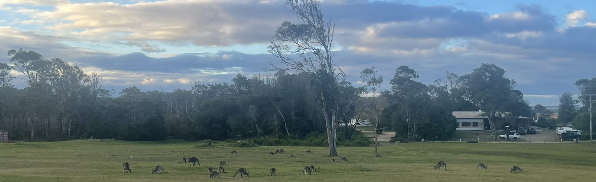 Merimbula to Pambula via the Coastline Cycleway, New South Wales ...