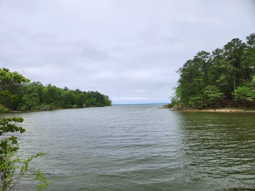Best Hikes and Trails in South Toledo Bend State Park | AllTrails